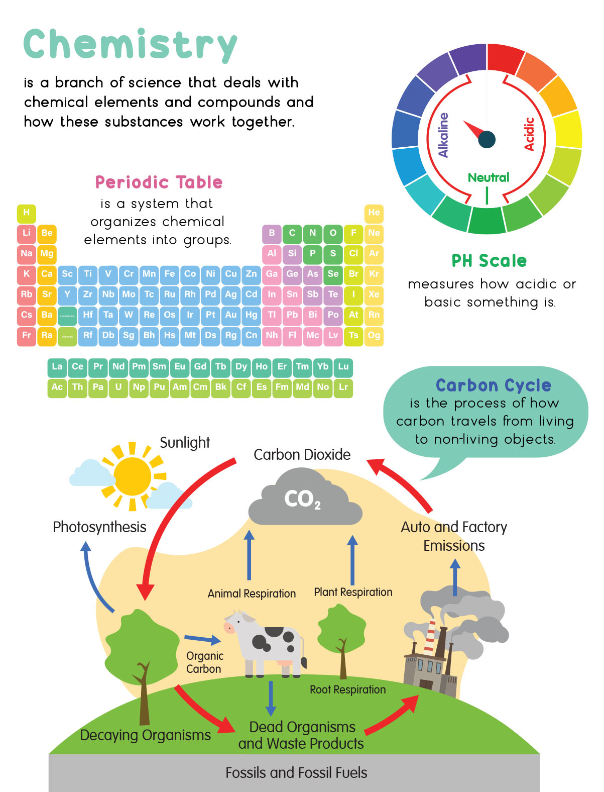 Learning is Fun. SMART KIDS MY FIRST STEAM WORDS-SCIENCE