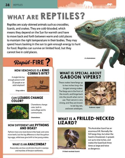 Learning is Fun. ULTIMATE QUESTIONS & ANSWERS-ANIMALS AND NATURE