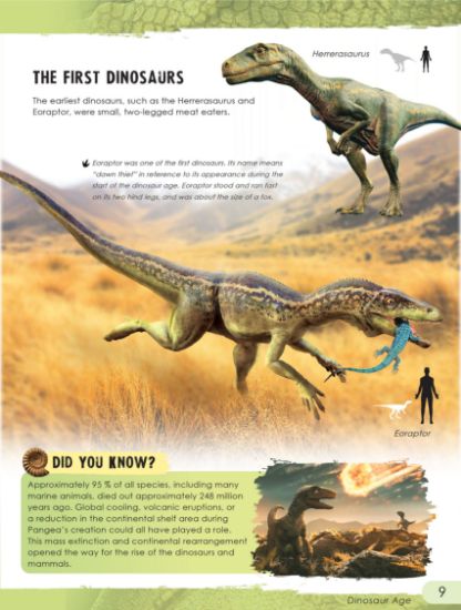 Learning is Fun. AMAZING FACTS-DINOSAURS