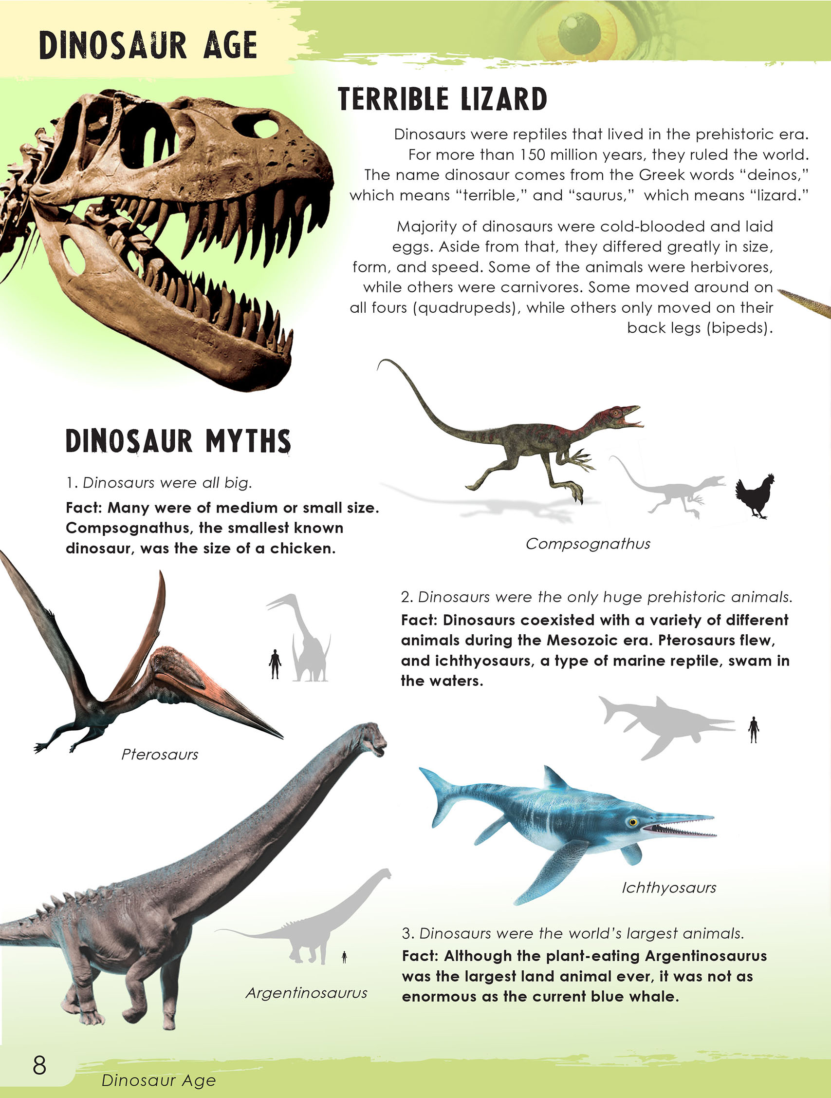 Learning is Fun. AMAZING FACTS-DINOSAURS