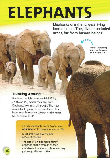 Learning is Fun. WONDERS OF LEARNING-DISCOVER ANIMAL ENCYCLOPEDIA