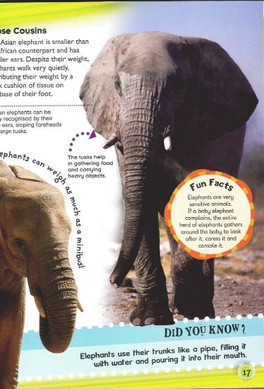 Learning is Fun. WONDERS OF LEARNING-DISCOVER ANIMAL ENCYCLOPEDIA